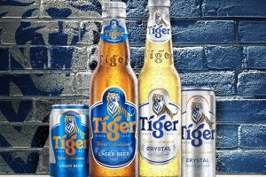 Chi mạnh để mời G-Dragon làm đại sứ thương hiệu, Tiger Beer đang kinh ...